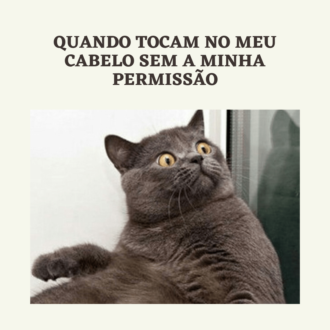 23 Memes para cabeleireira conquistar sua audiência - Destrava Ideias