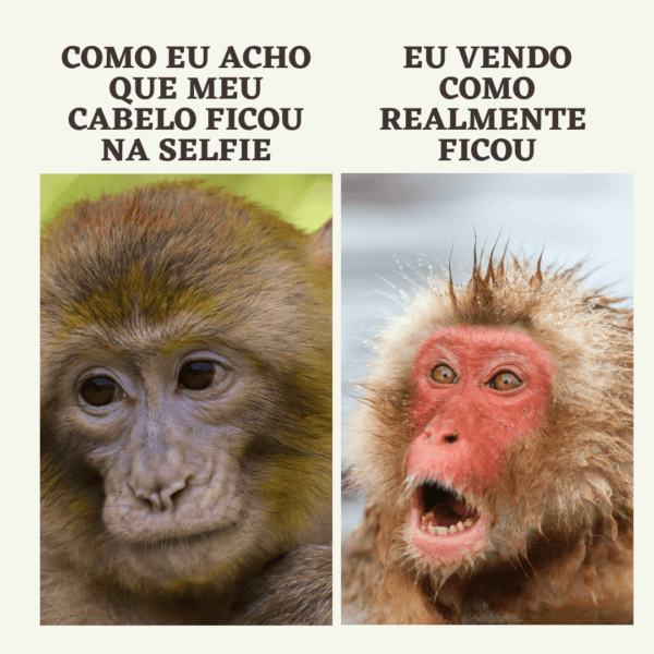 23 Memes para cabeleireira conquistar sua audiência - Destrava Ideias